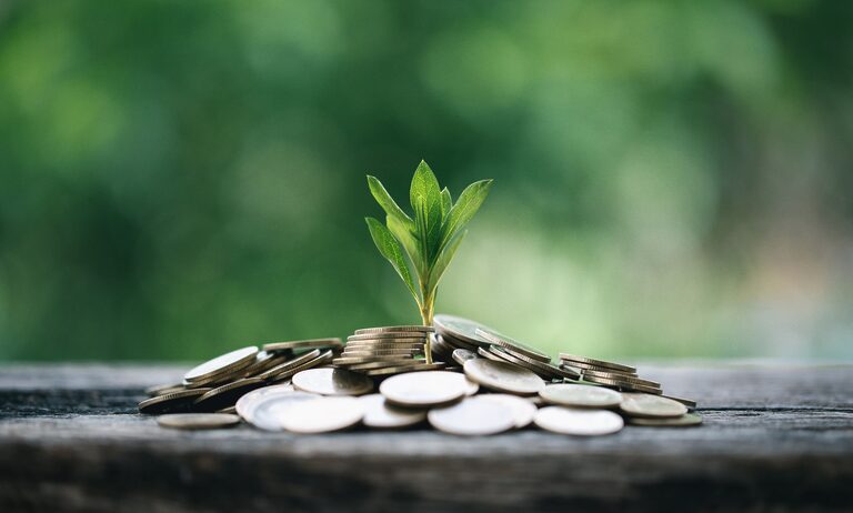 Easy Steps to Help You Get Started Investing | SavvyMoney Education